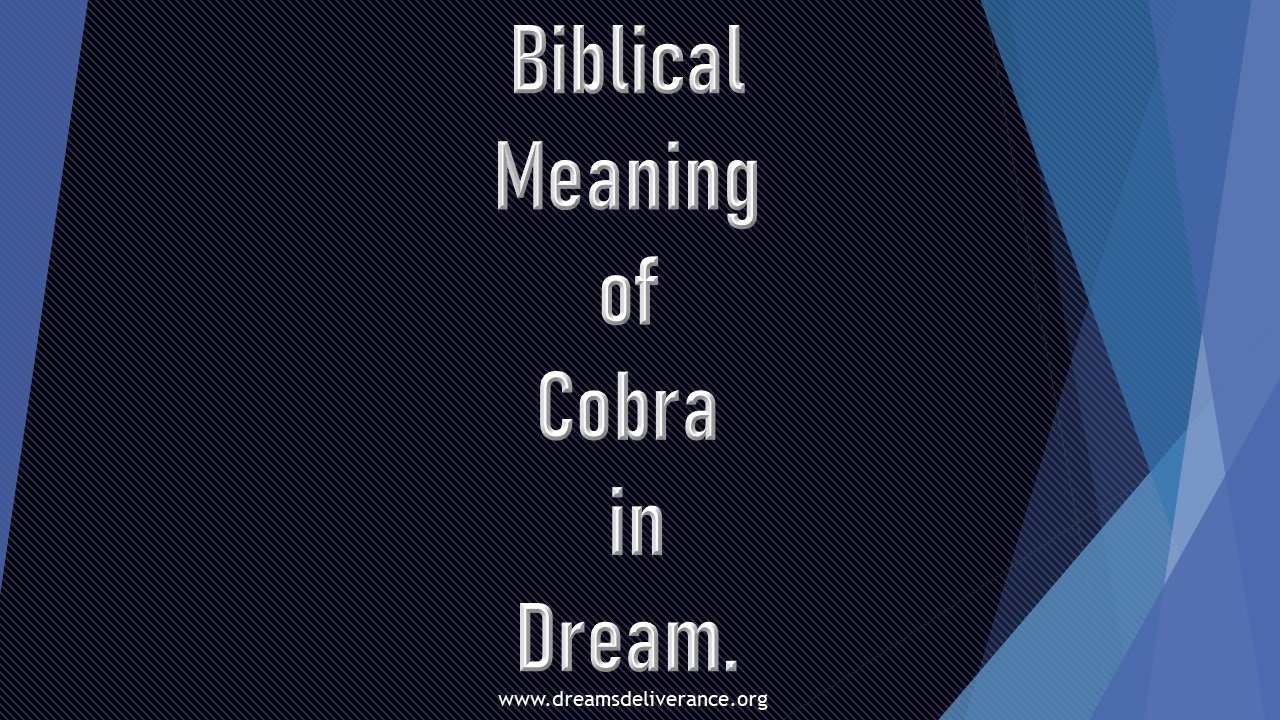 Biblical Meaning of Cobra in Dream.-Dreamsdeliverance.org