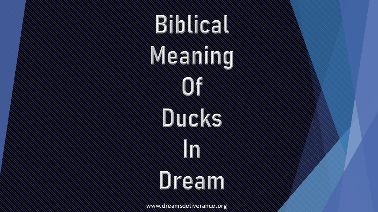 Biblical Meaning Of Ducks In Dream-Dreamsdeliverance.org